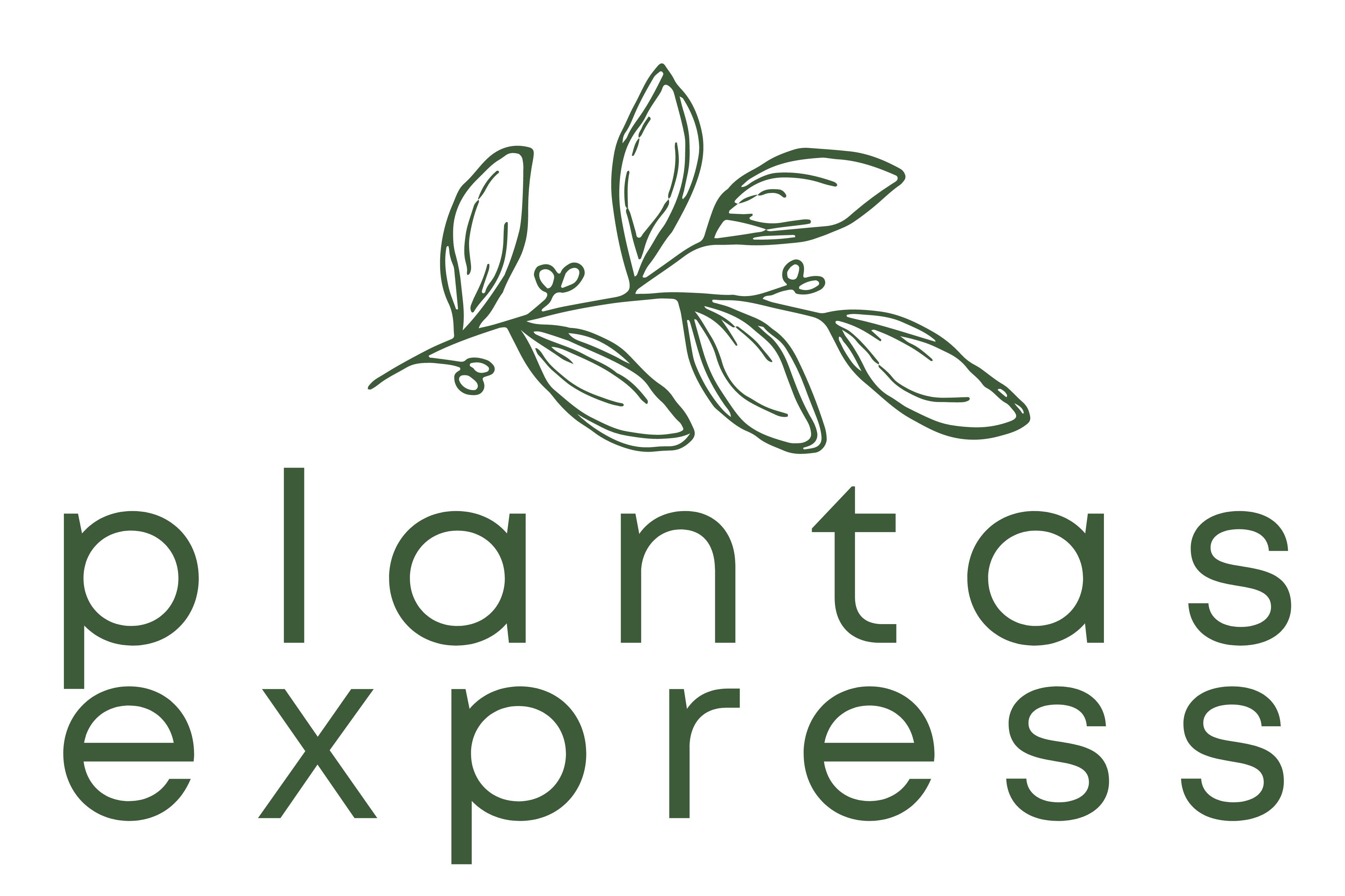 Sobre Nosotros – Plantas Express